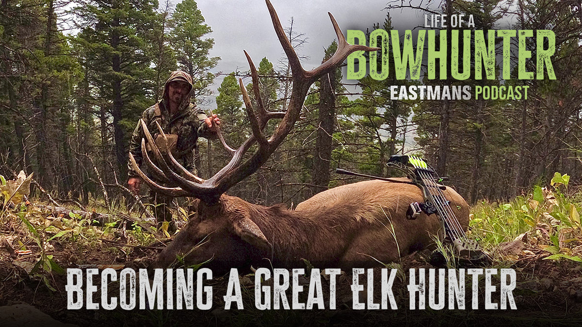 From The Elk Collective: Becoming A GREAT Elk Hunter!